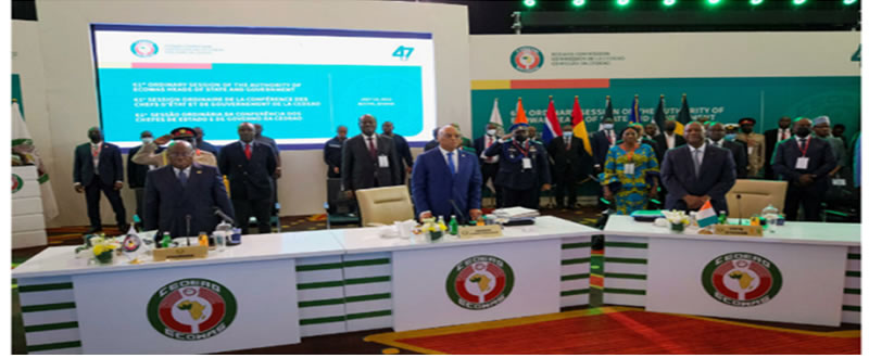 Food and Drugs Administration(FDA)